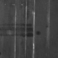 yolo v7 metal defects Instance Segmentation Dataset by Yolo v7 segmentation