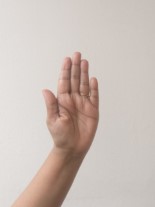 Hand Gesture Recognition Object Detection Dataset and Pre-Trained Model by Final Year Project