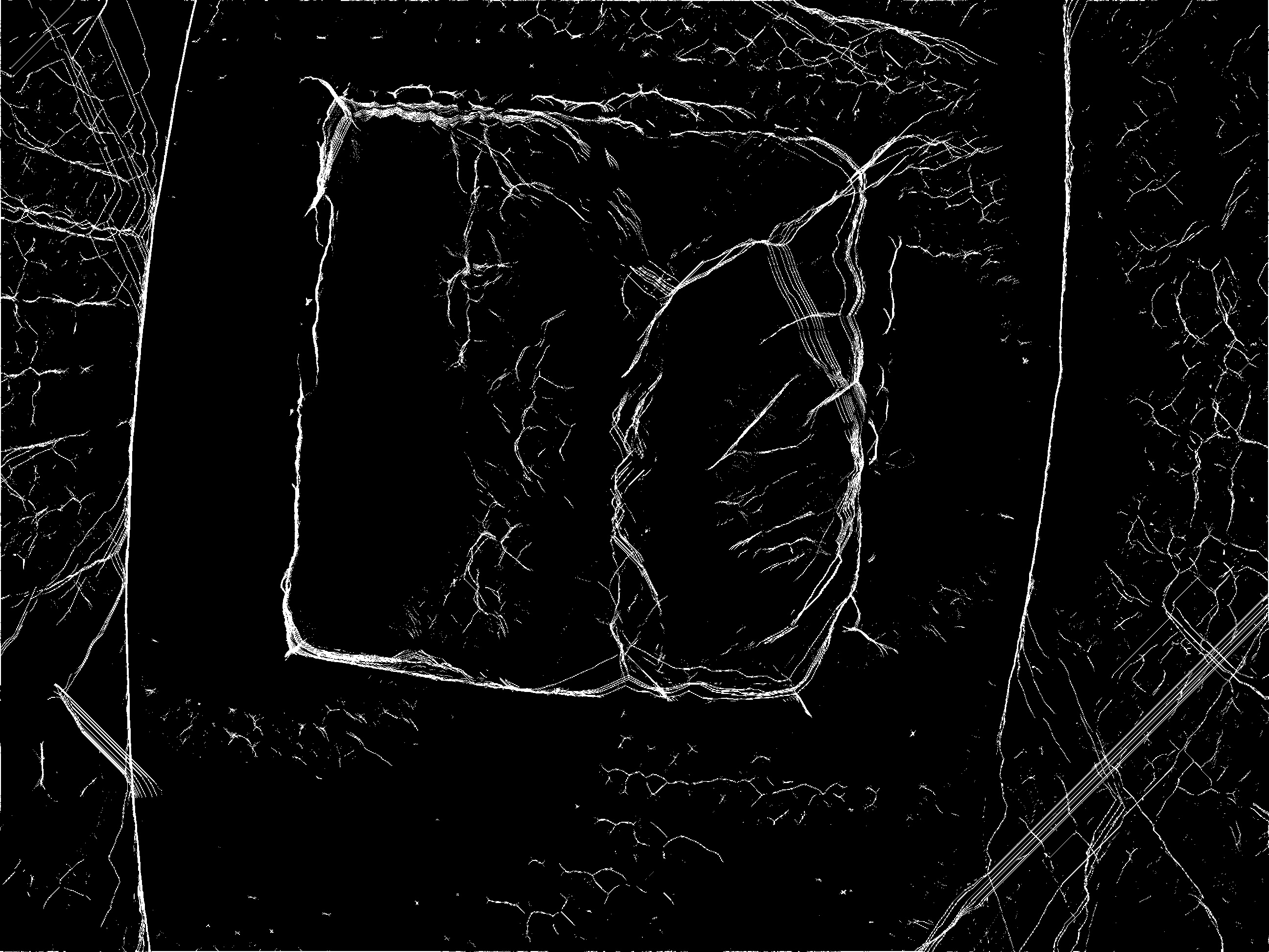 Biometric Authentication Object Detection Dataset And Pre Trained Model By Newtoms