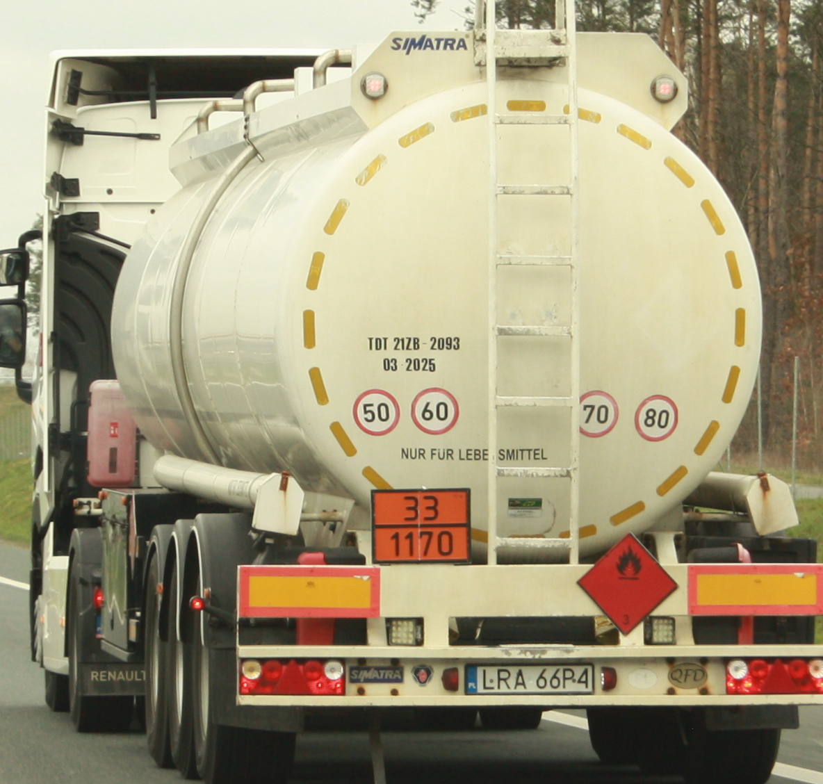 ADR labels and license plates detection Instance Segmentation Dataset ...