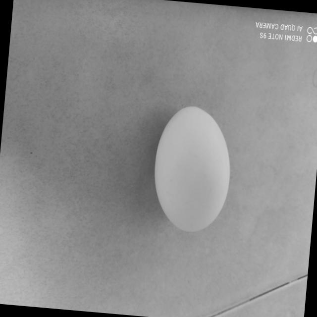 Egg 2 Object Detection Dataset By Egg1