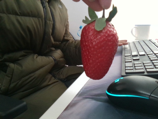 Strawberry Detection Object Detection Dataset By Fyxdds