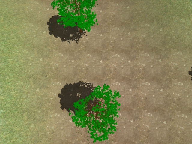 My Tree Object Detection Dataset By Emre Demİrten