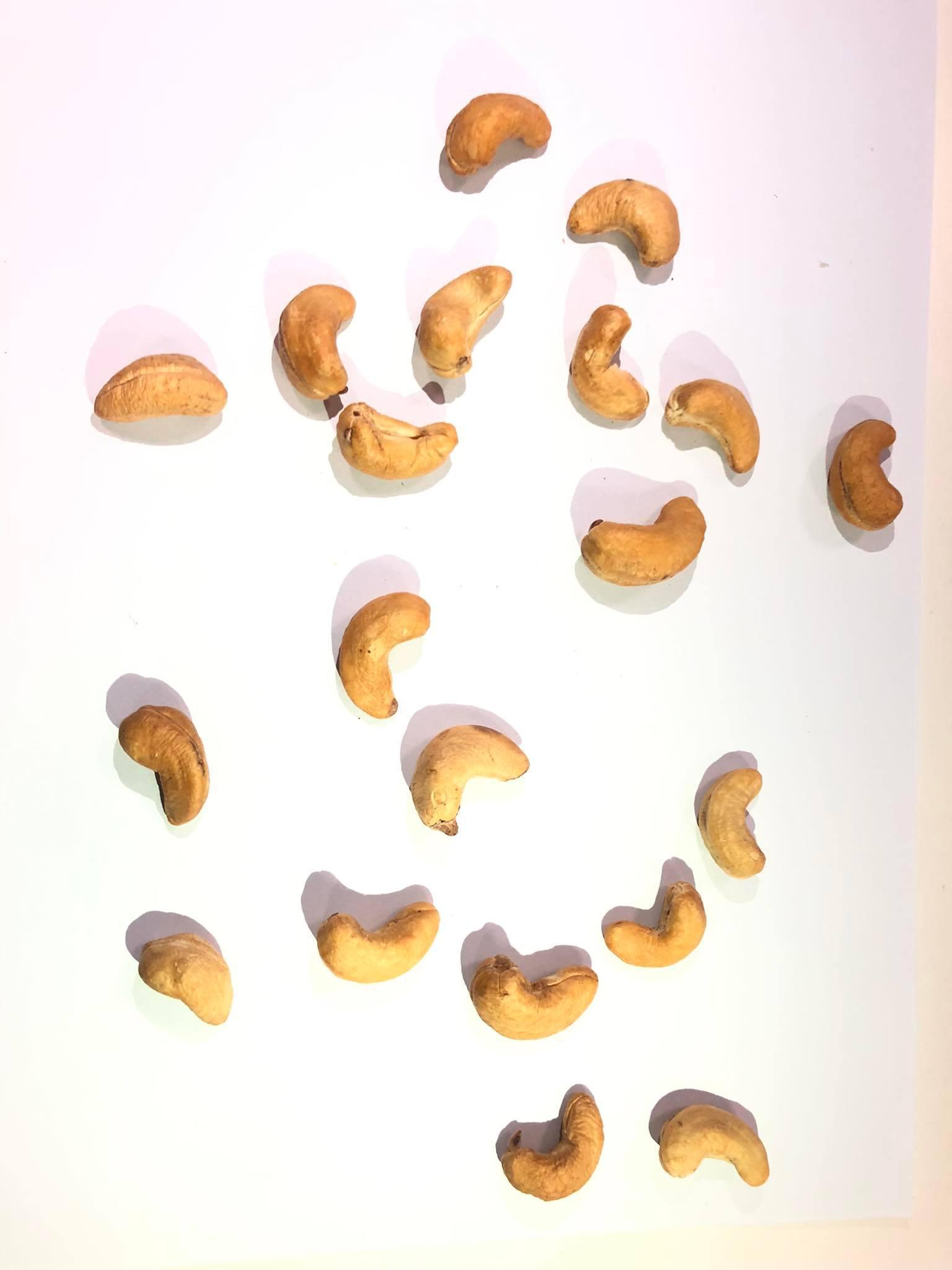 cashew Object Detection Dataset by h
