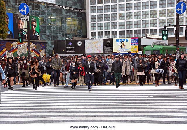 Human Object Detection Dataset by Human