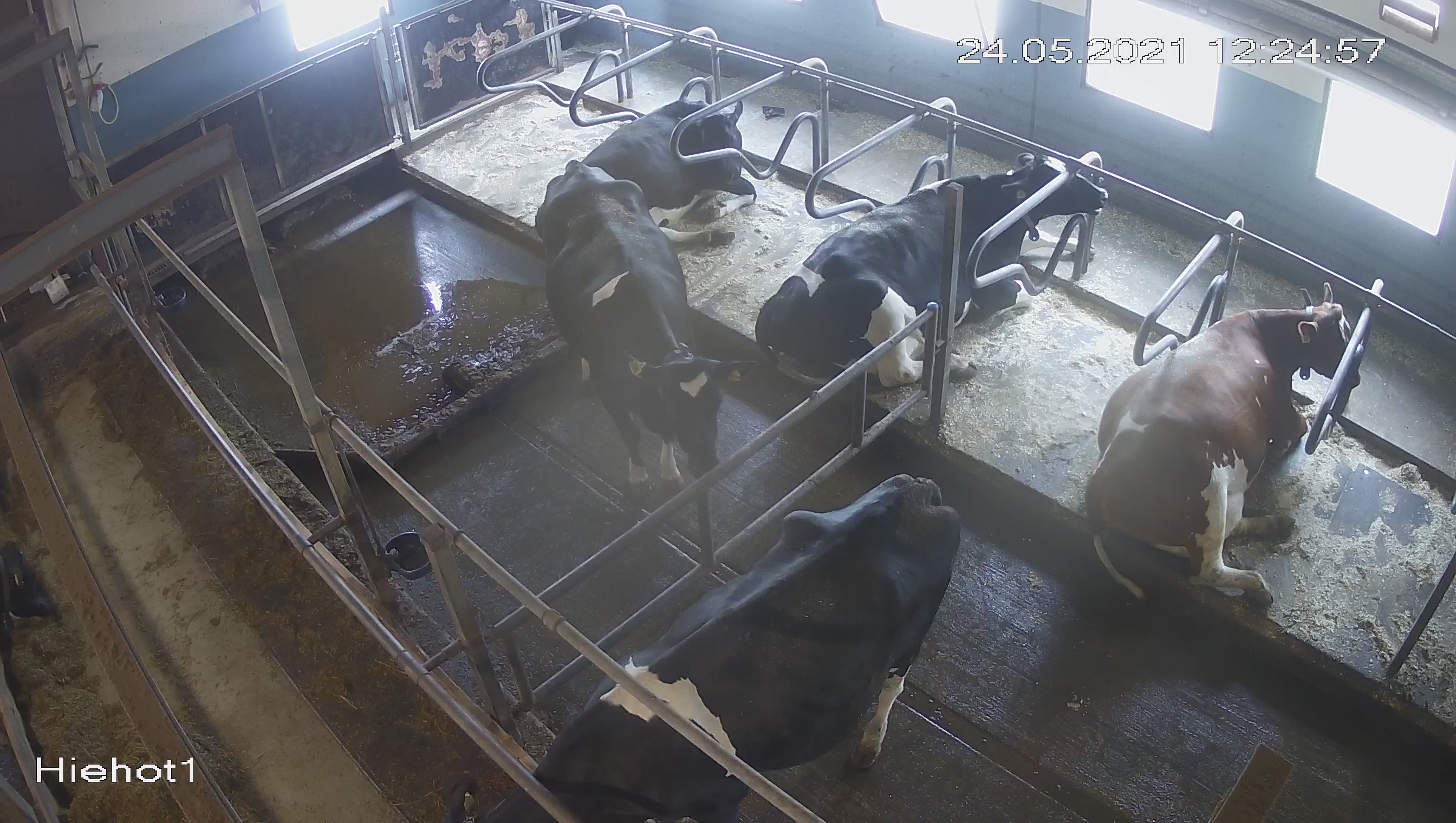 Complete_farm_data Object Detection Dataset by Sam George