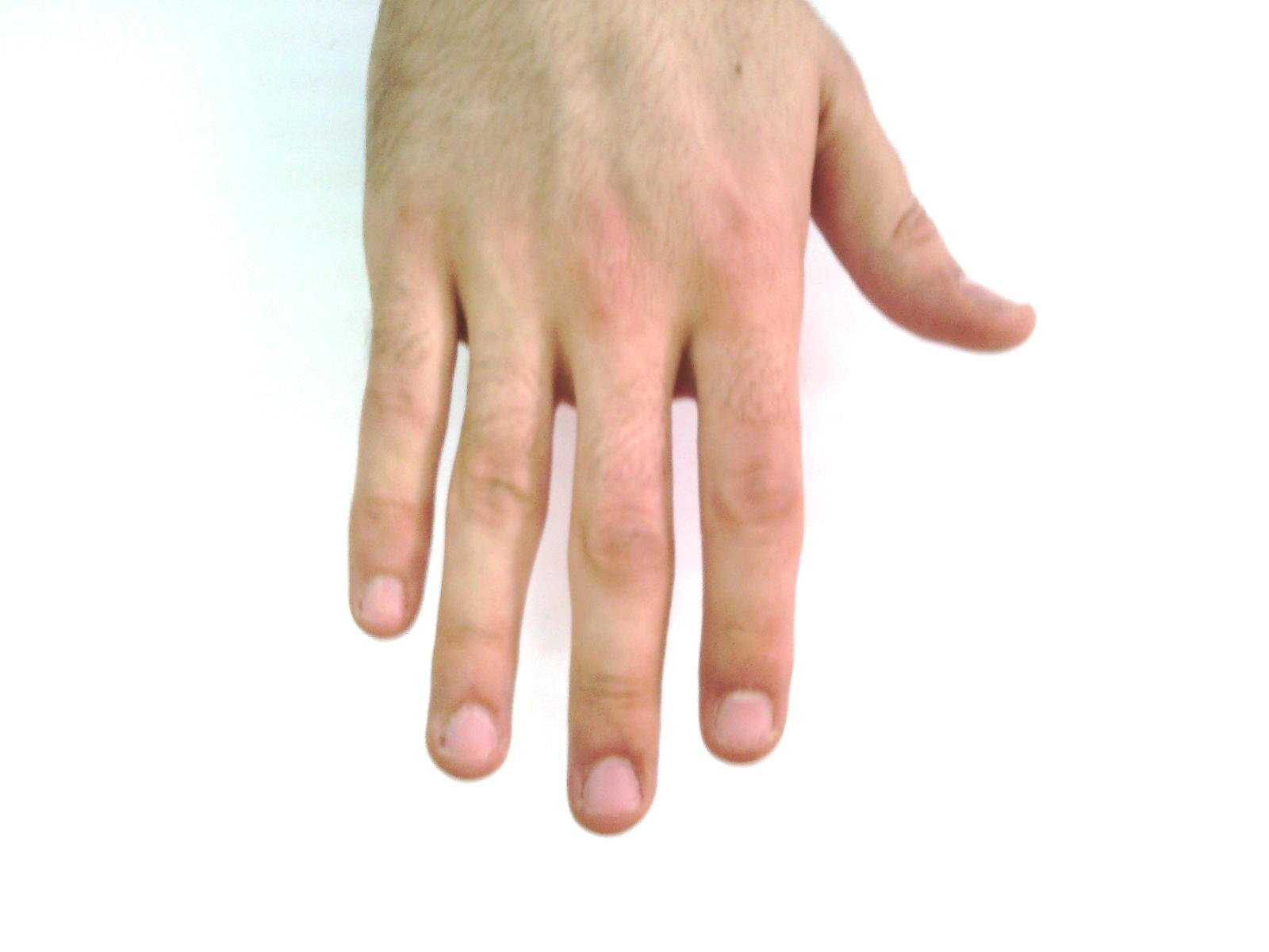 How to Use the Hands Object Detection Object Detection API