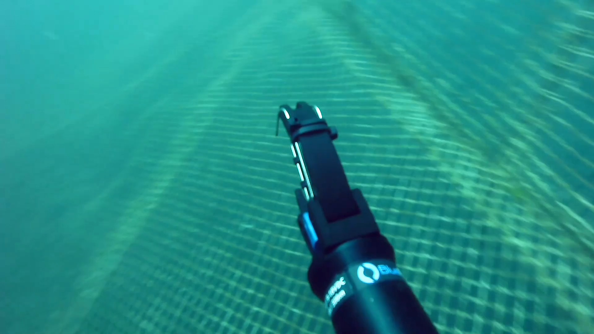 mort Object Detection Dataset by mate2022