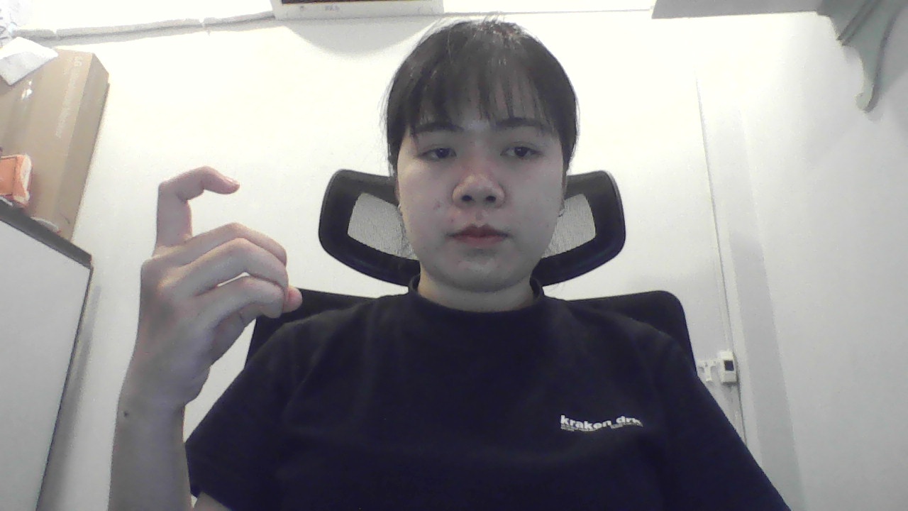 Vietnam Sign Language Object Detection Dataset And Pre Trained Model By