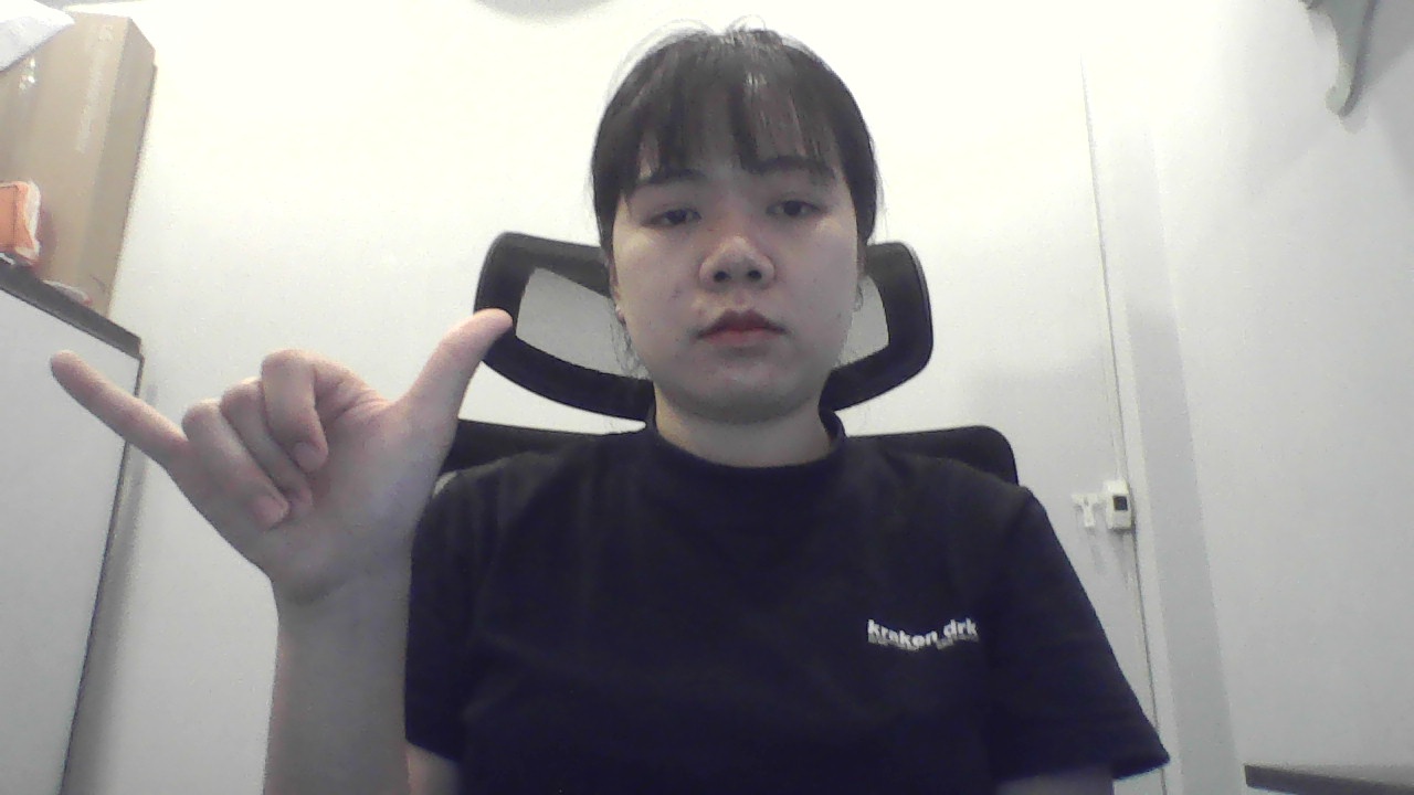 How to Use the VIETNAM SIGN LANGUAGE Object Detection API