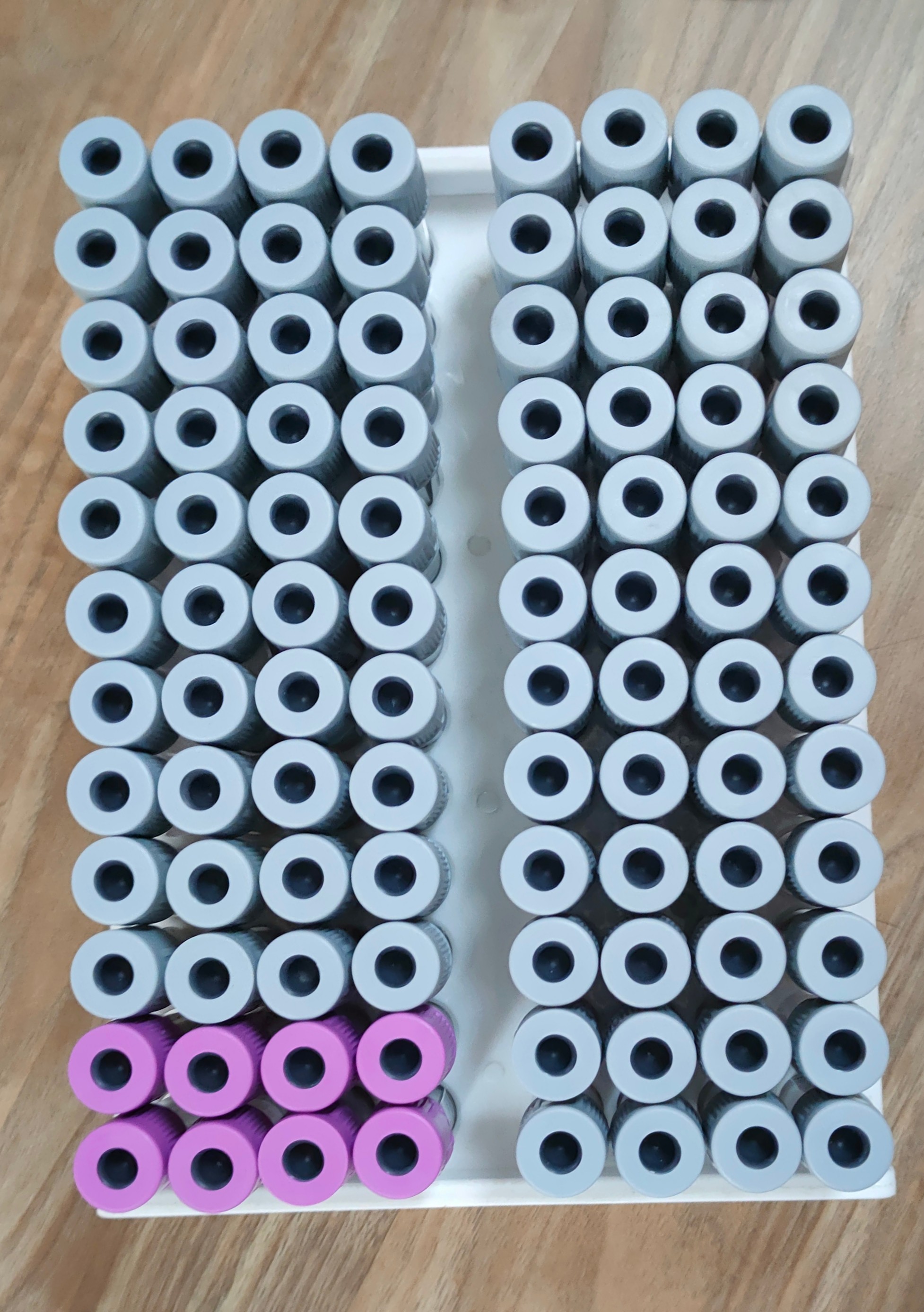 Test Tube Annotation Object Detection Dataset By Pes University