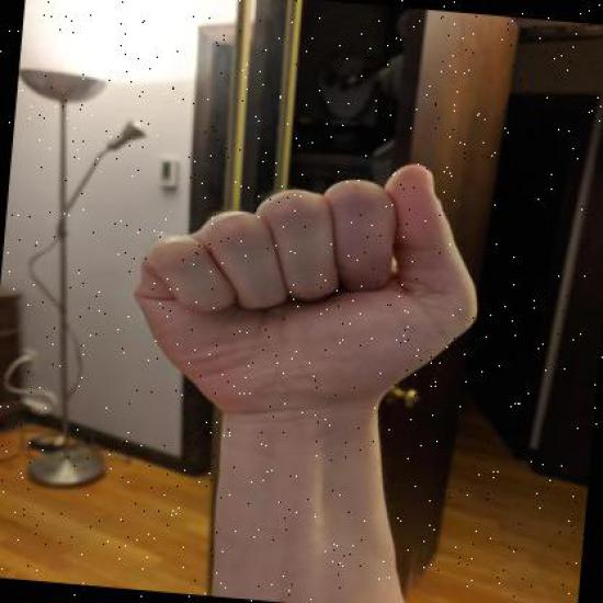 How to Use the ASL Instance Instance Segmentation API