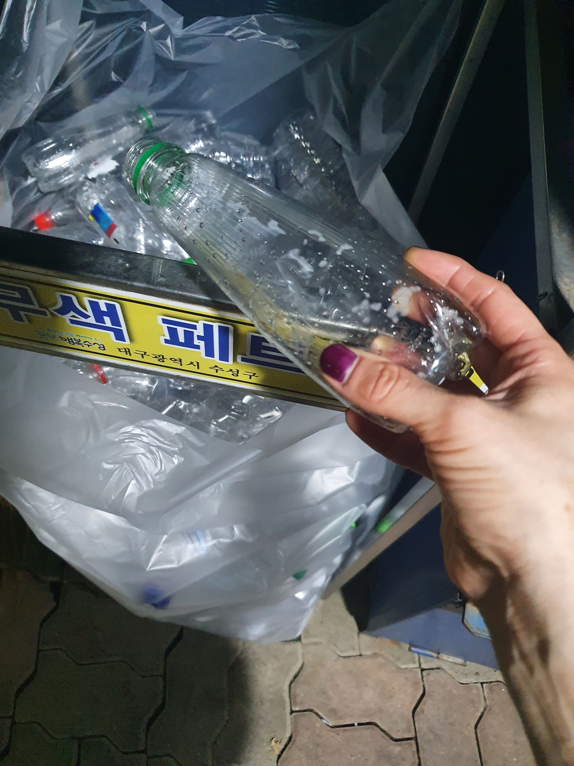 pet model Object Detection Dataset by ecoce