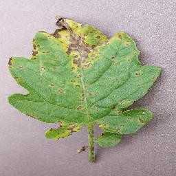 all (all-f5edm) - Roboflow Universe