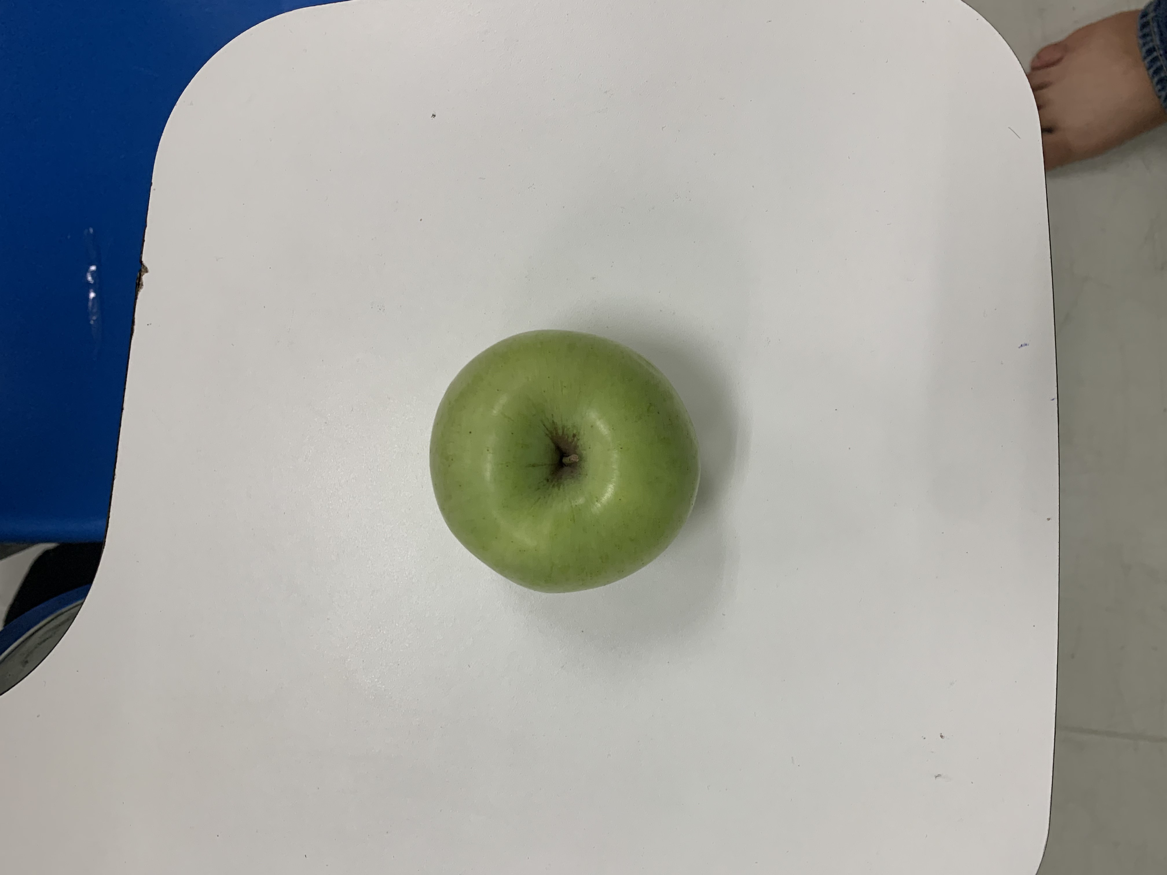 fruits Object Detection Dataset by Suradech