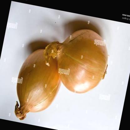 onions Object Detection Dataset and Pre-Trained Model by Onion Grading