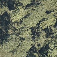 Tree-Top-View Object Detection Dataset and Pre-Trained Model by TreeDataset