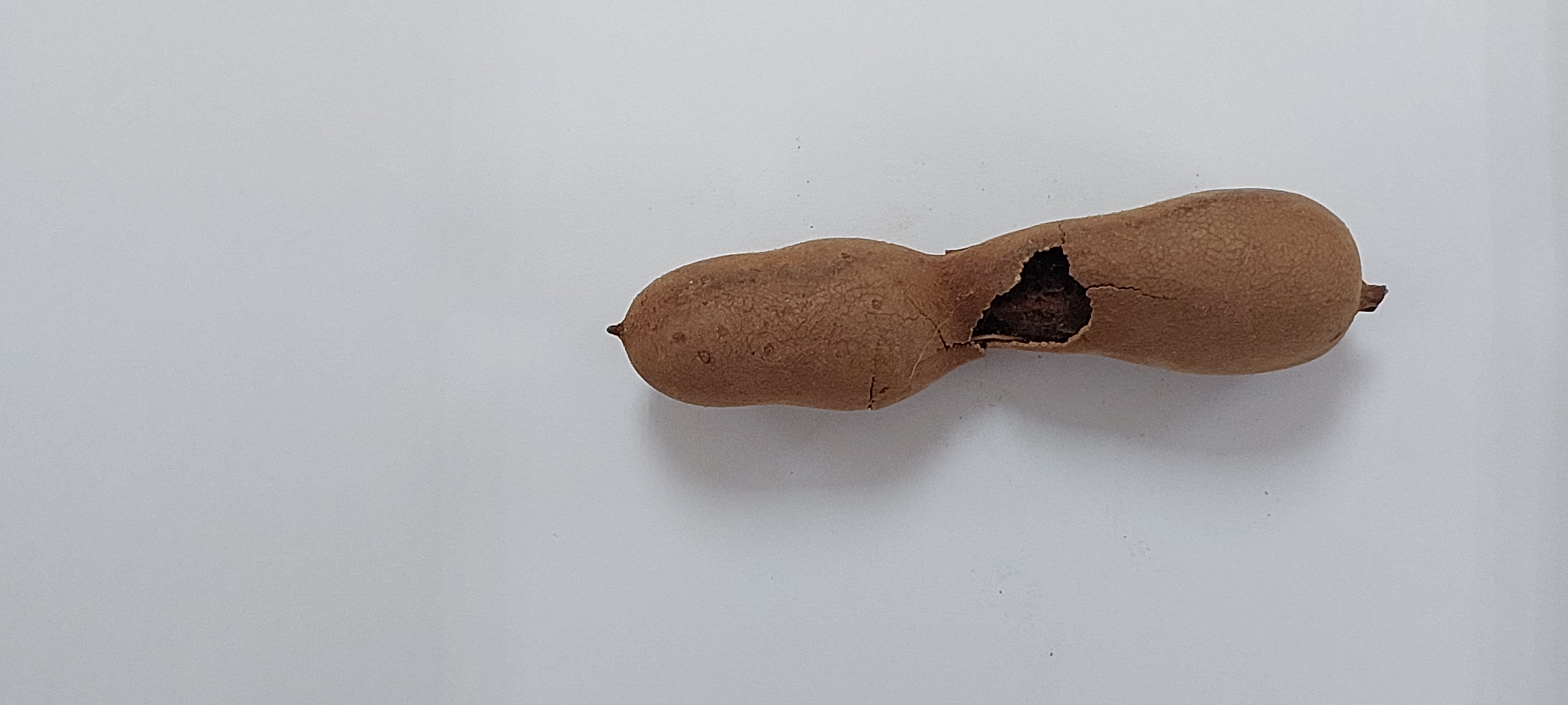 Tam Crack Object Detection Dataset And Pre Trained Model By Project