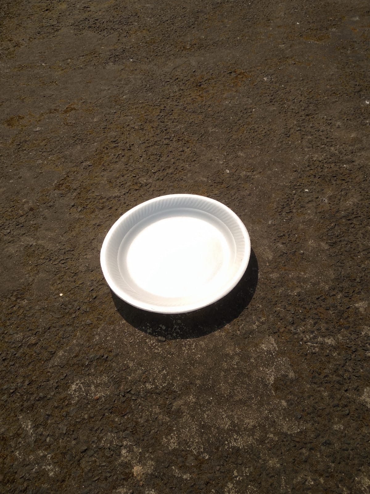 waste-detection Object Detection Dataset and Pre-Trained Model by VIT