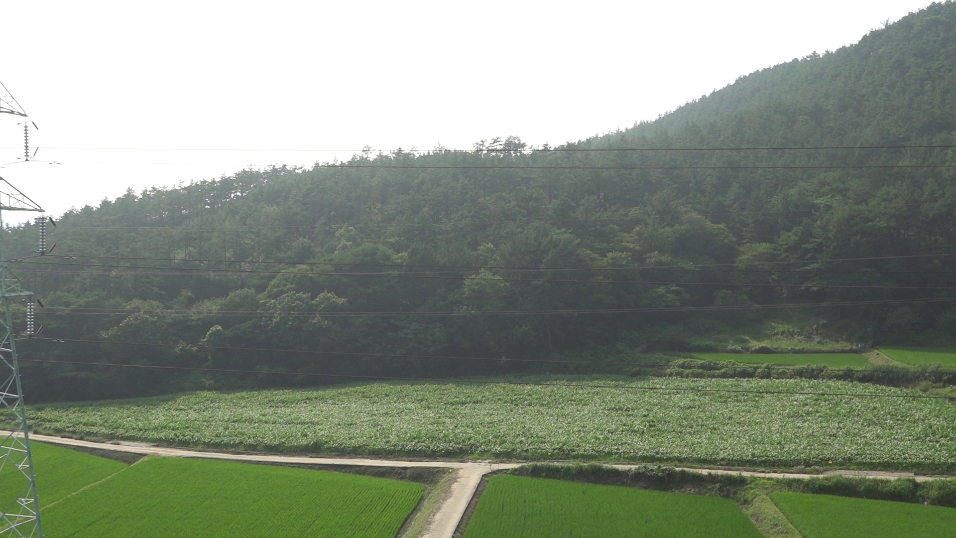 rotate Object Detection Dataset by hanyang