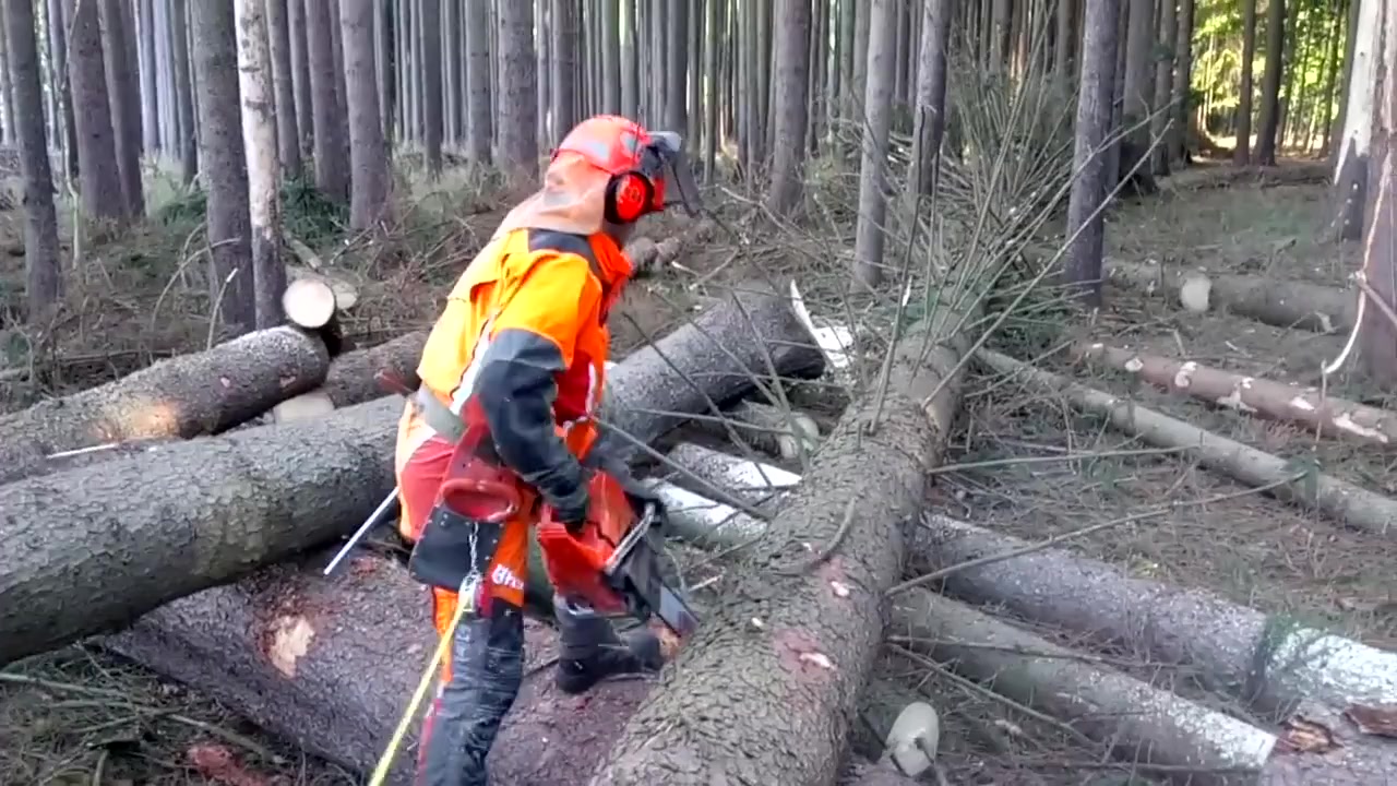 Sawing 5 Object Detection Dataset V1 2023 03 29 2 14pm By Ppedatanew