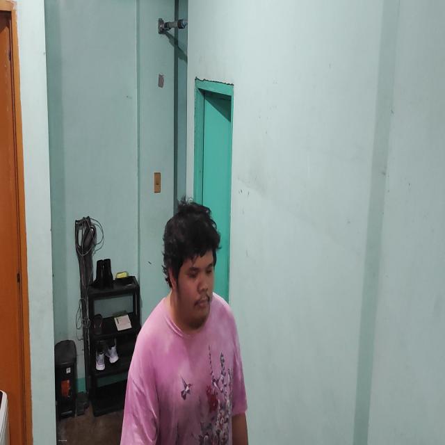 2m nomask Object Detection Dataset by organized dataset