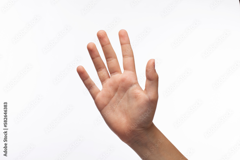 Sign Language Object Detection Dataset By Farman Ali