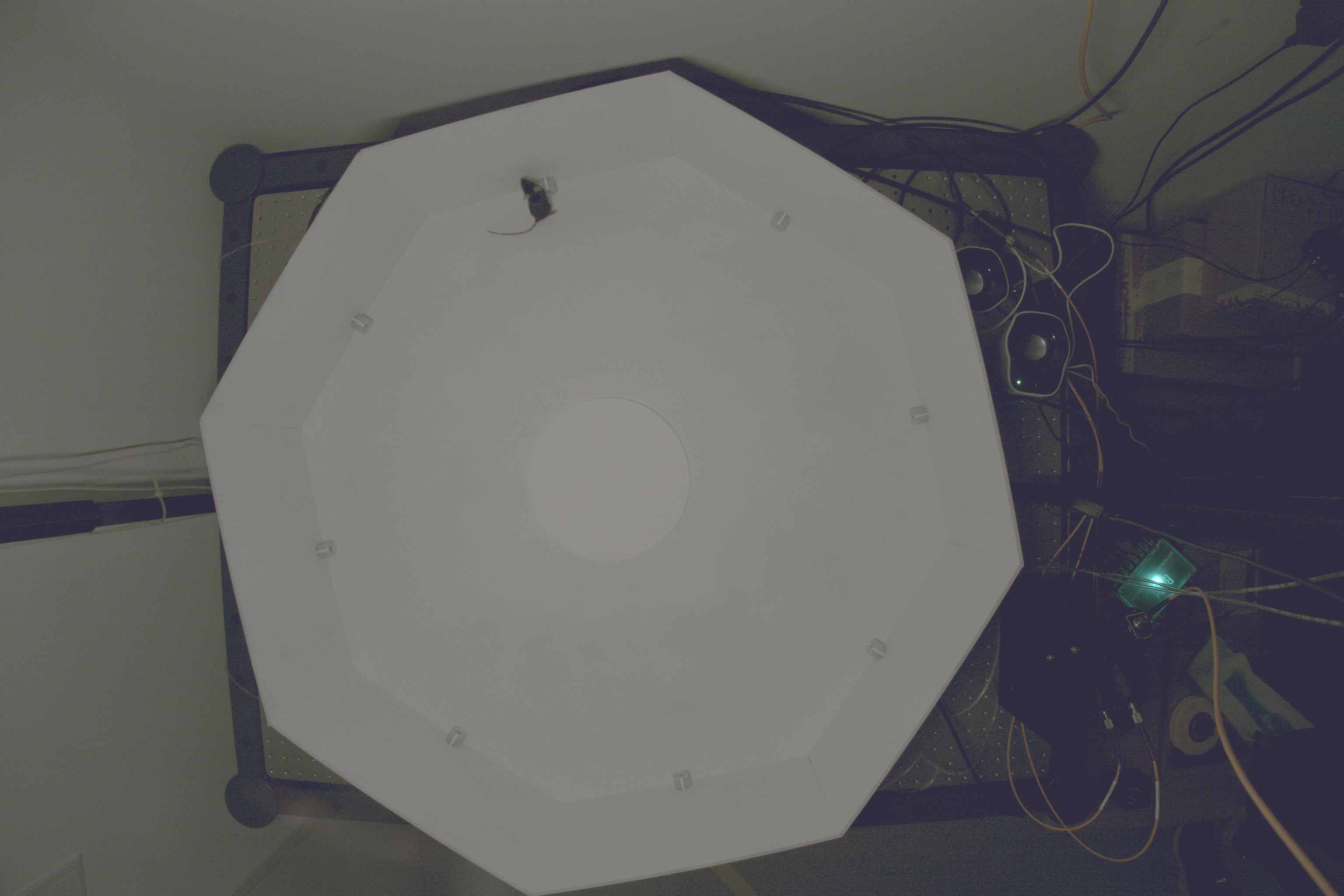 Mice detection Object Detection Dataset by Mice detection