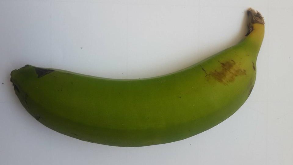 bananas_class Classification Dataset by neadv