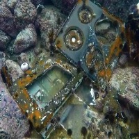 Neural_Ocean Object Detection Dataset and Pre-Trained Model by Neural Ocean