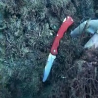 Neural_Ocean Object Detection Dataset and Pre-Trained Model by Neural Ocean