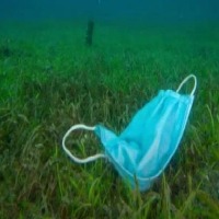 Neural_Ocean Object Detection Dataset and Pre-Trained Model by Neural Ocean