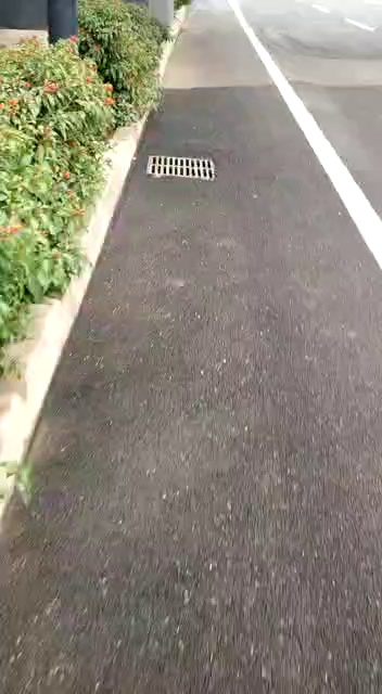 manhole-det Object Detection Dataset by new