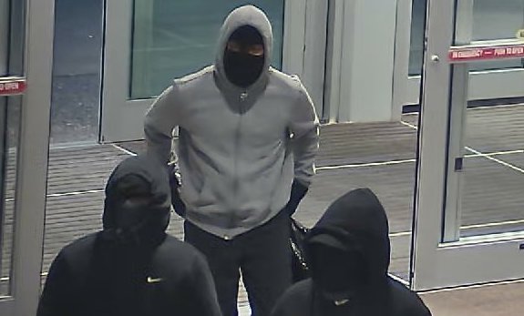 Thief dataset Object Detection Dataset (v1, original-raw 2022-11-04 3-03pm) by Internships