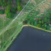 Tree Counting Object Detection Dataset and Pre-Trained Model by Tree Counting