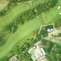 Tree Counting Object Detection Dataset and Pre-Trained Model by Tree Counting