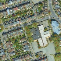 Tree Counting Object Detection Dataset and Pre-Trained Model by Tree Counting