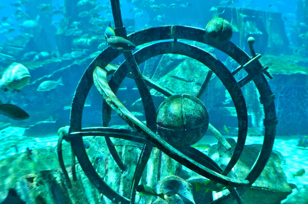 Fish Detection Object Detection Dataset and Pre-Trained Model by FishSense2