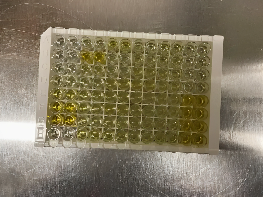 Sample MobileNet Object Detection Dataset and Pre-Trained Model by Sample