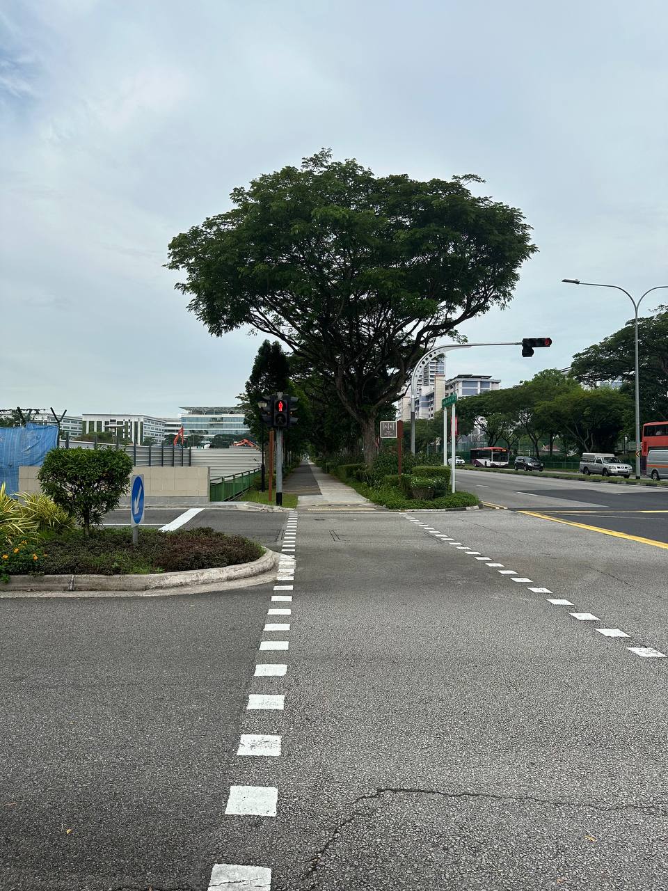Traffic Light Detection Object Detection Dataset By Fyp Project