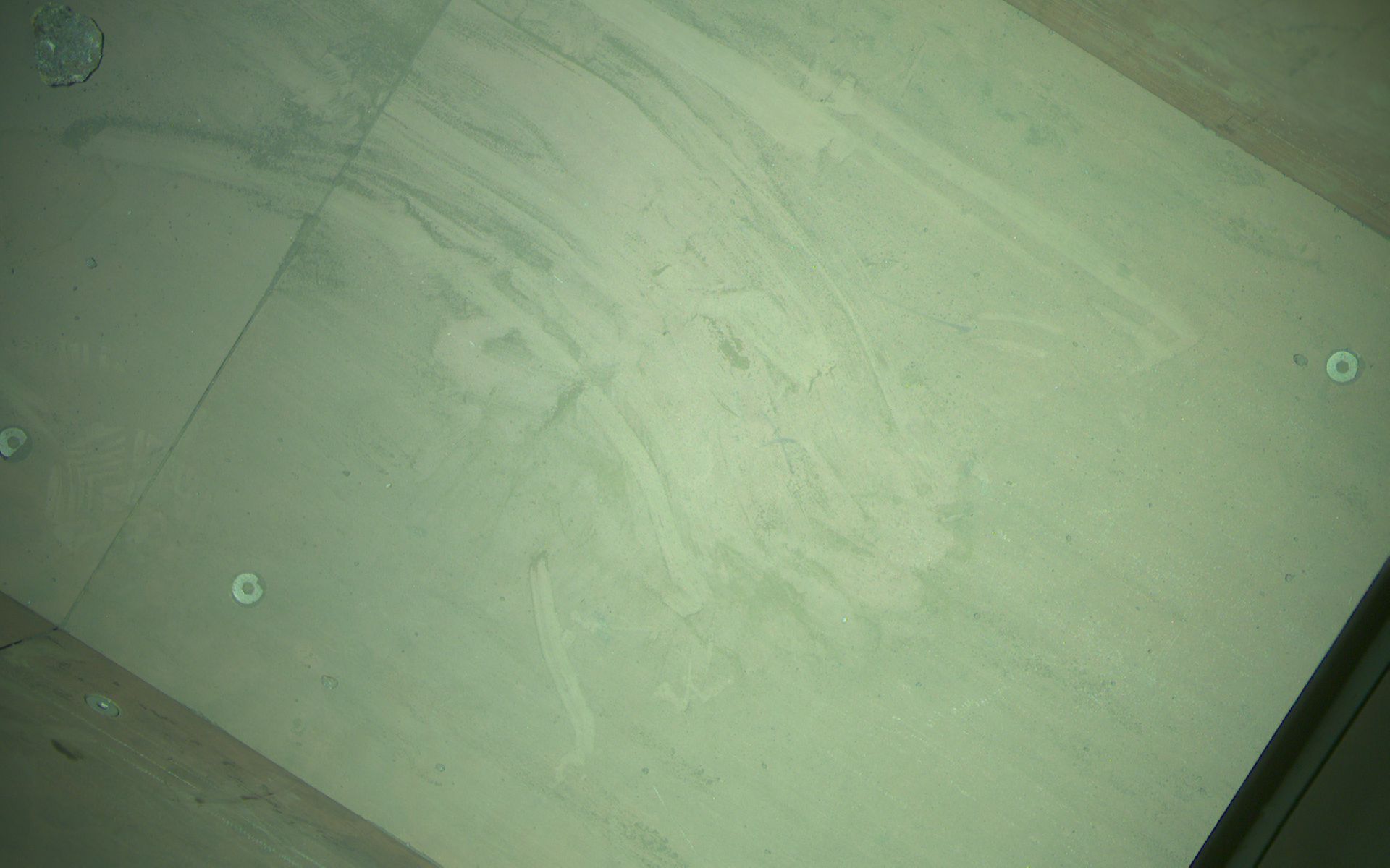 stone Object Detection Dataset by Zahra Moosavi