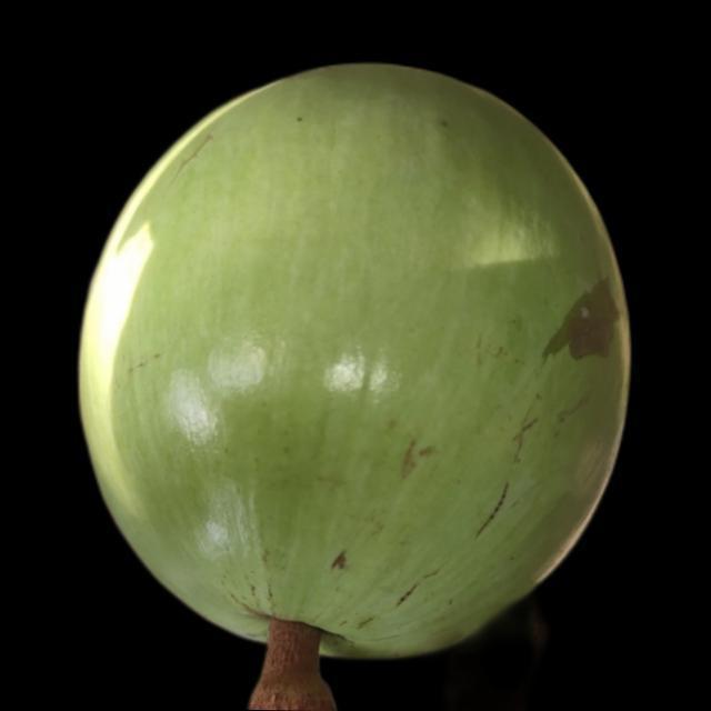 ảnh vusua Object Detection Dataset and Pre-Trained Model by hnh v sa