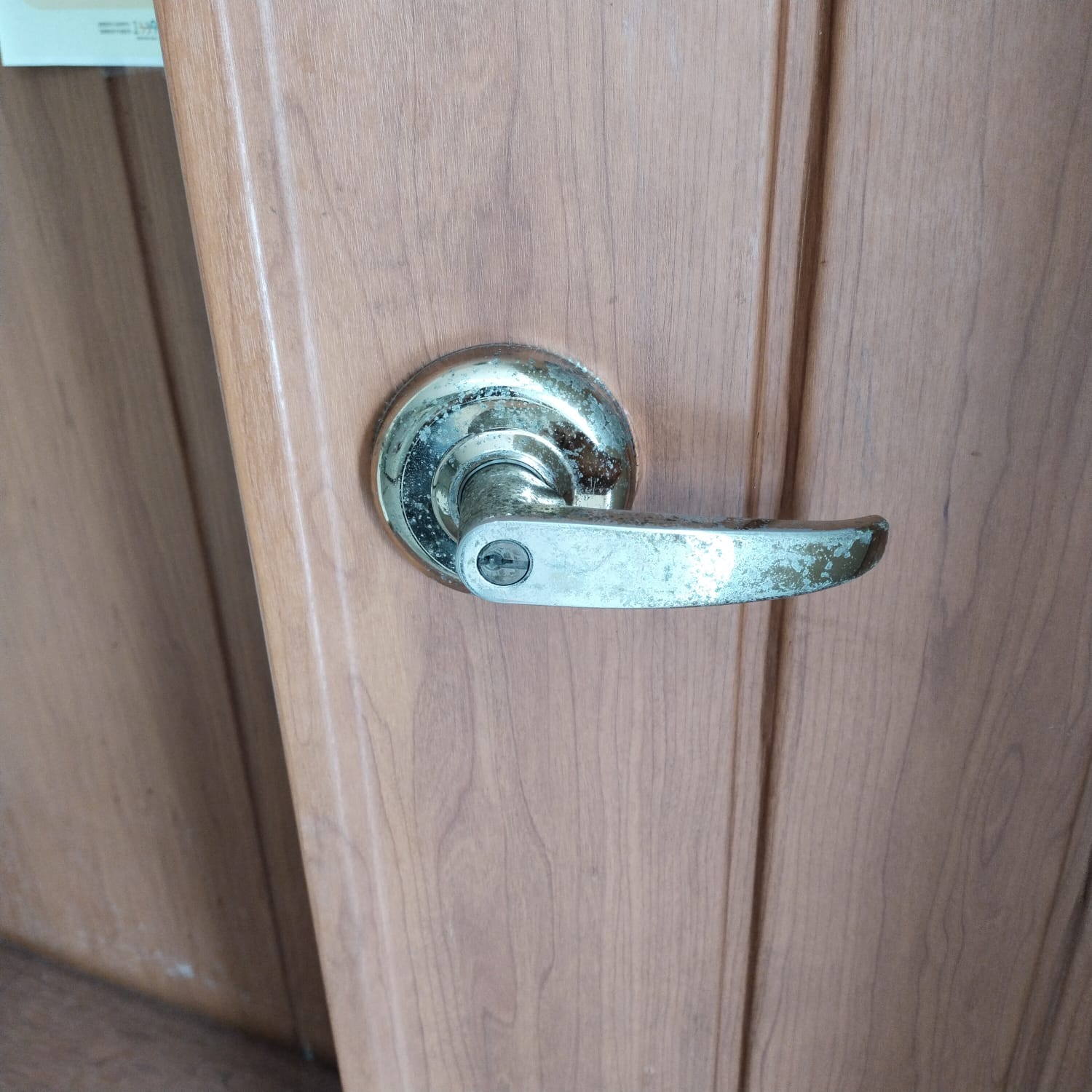 How to Use the yolov8-seg-custom Instance Segmentation API