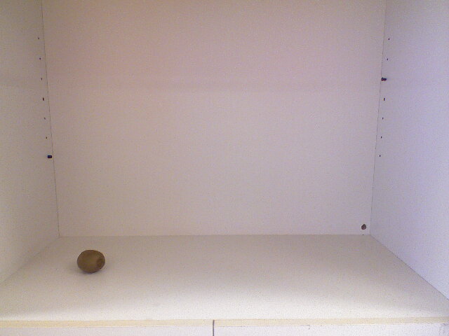 kiwi Object Detection Dataset by LARC2022