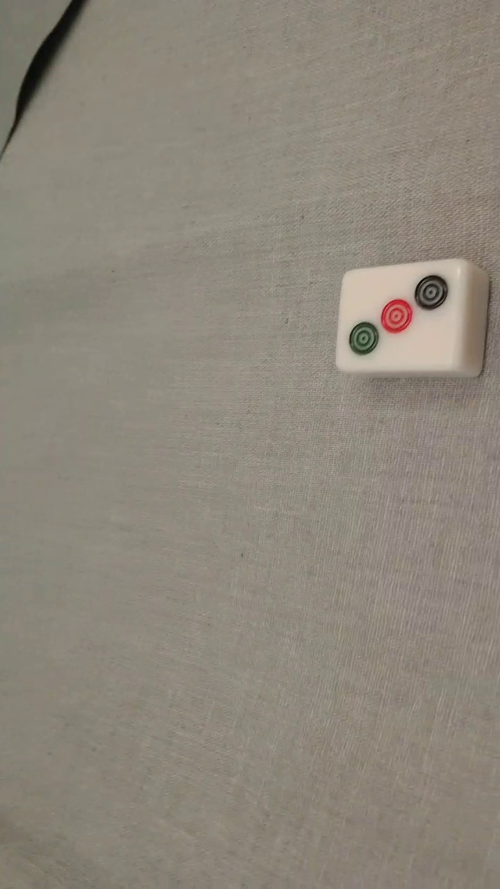 Try#3 Object Detection Dataset and Pre-Trained Model by Graces project