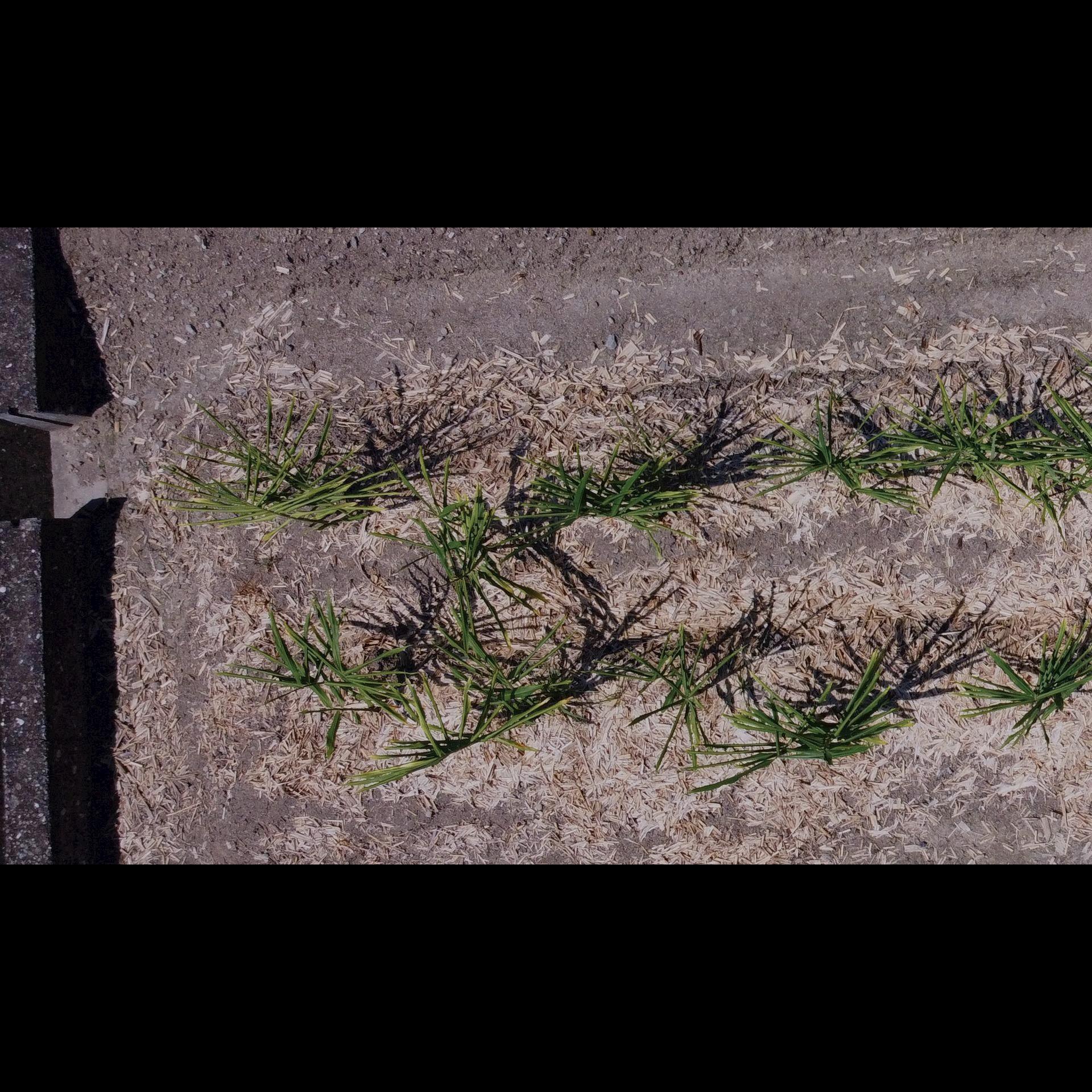 cc_standard_27 Object Detection Dataset by sampleto