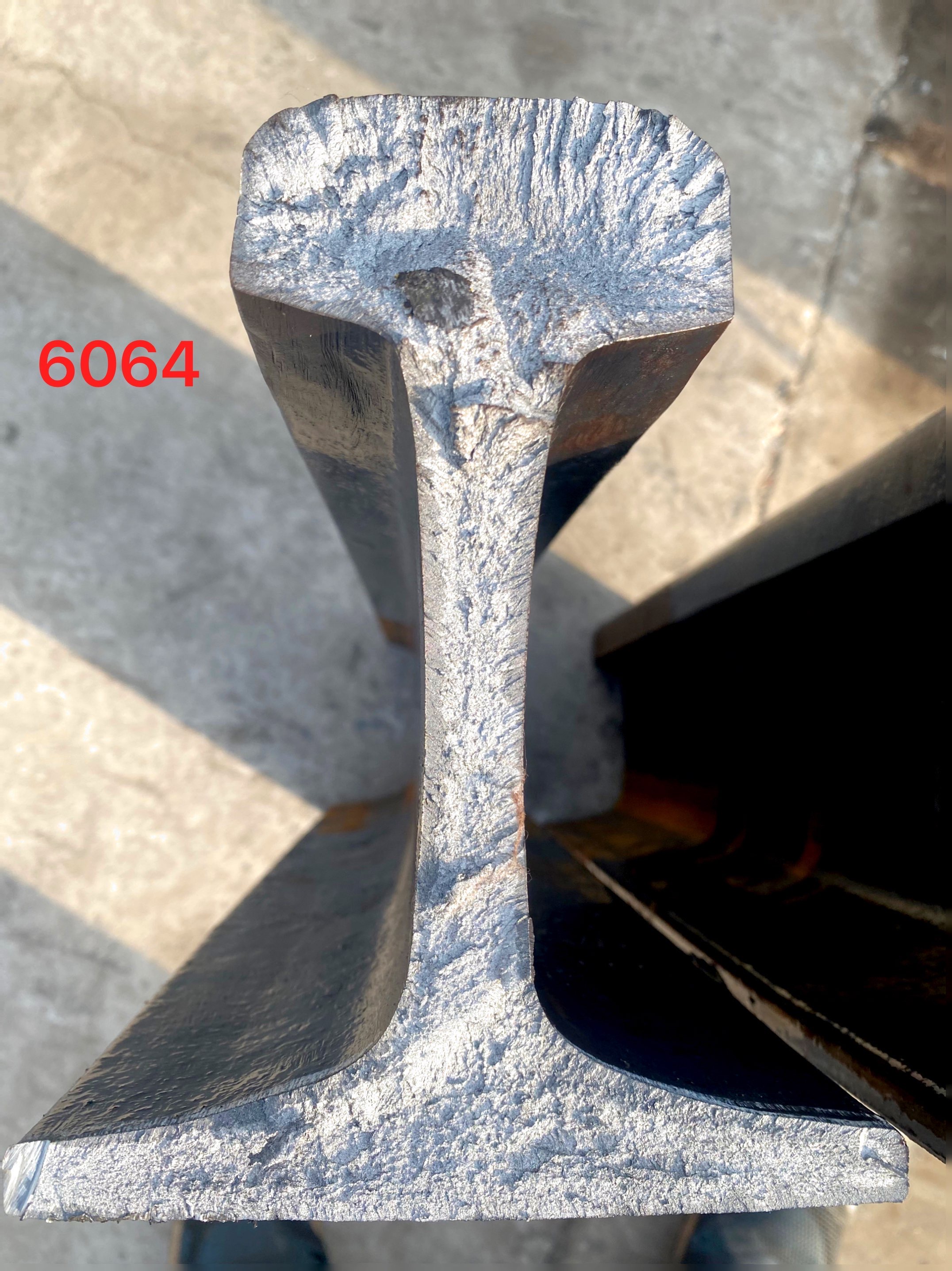 Ganggui Instance Segmentation Dataset by BUPT