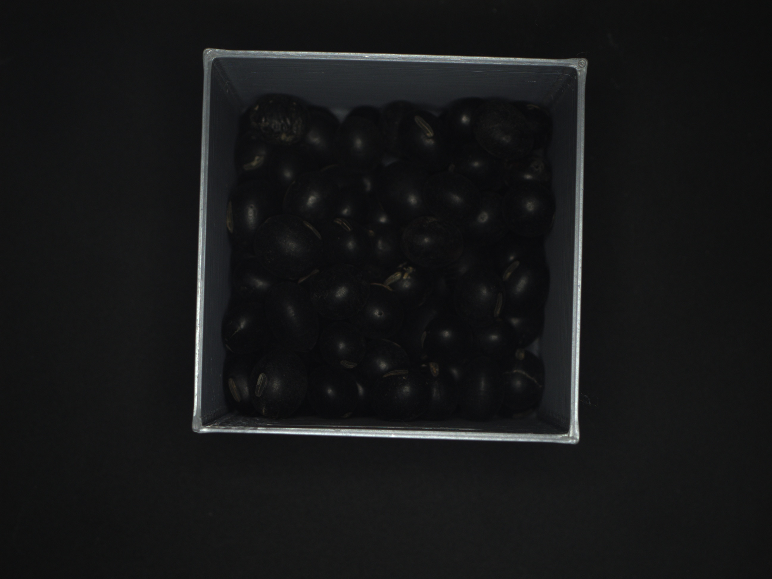 Multiple Beans Object Detection Dataset and Pre-Trained Model by Teriyaki