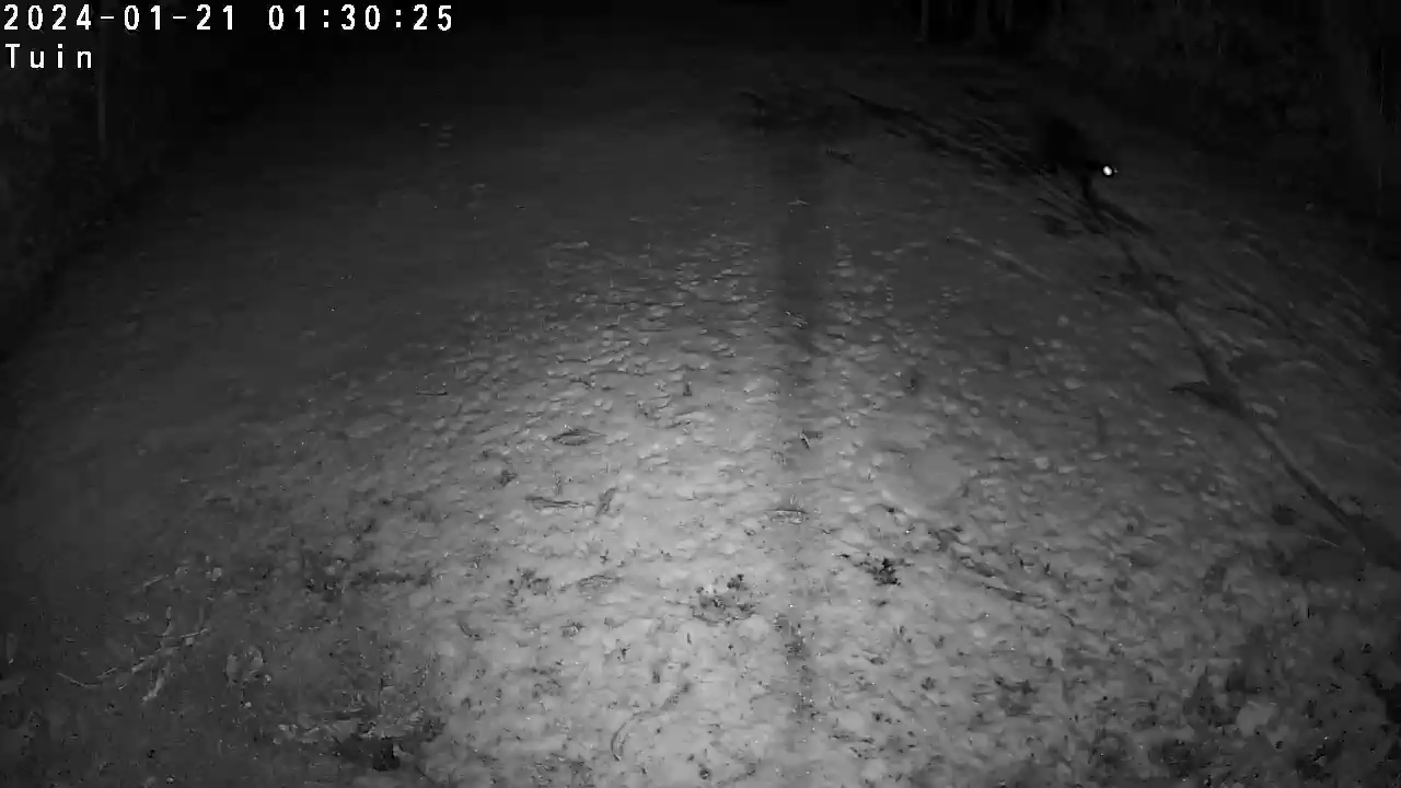 CustomDataset Object Detection Dataset by CatDetector