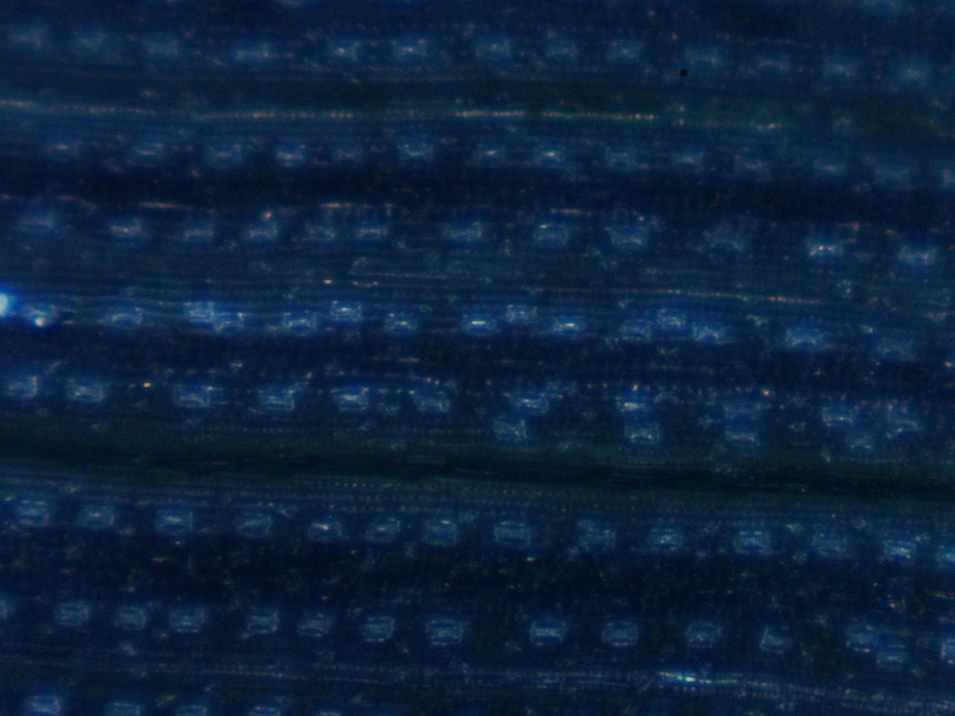 Wheat X200 Update 14022022 Object Detection Dataset By Stomata Project